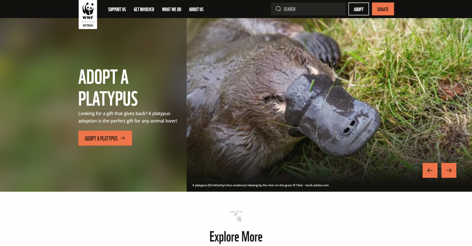 CC Australia - Connecting Australia to the commons